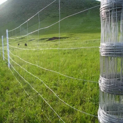 Field Fence - Buy Hot-dipped Galvanized Field Fence, Electro Galvanized ...